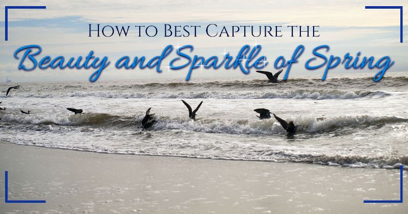 How to Best Capture the Beauty and Sparkle of Spring
