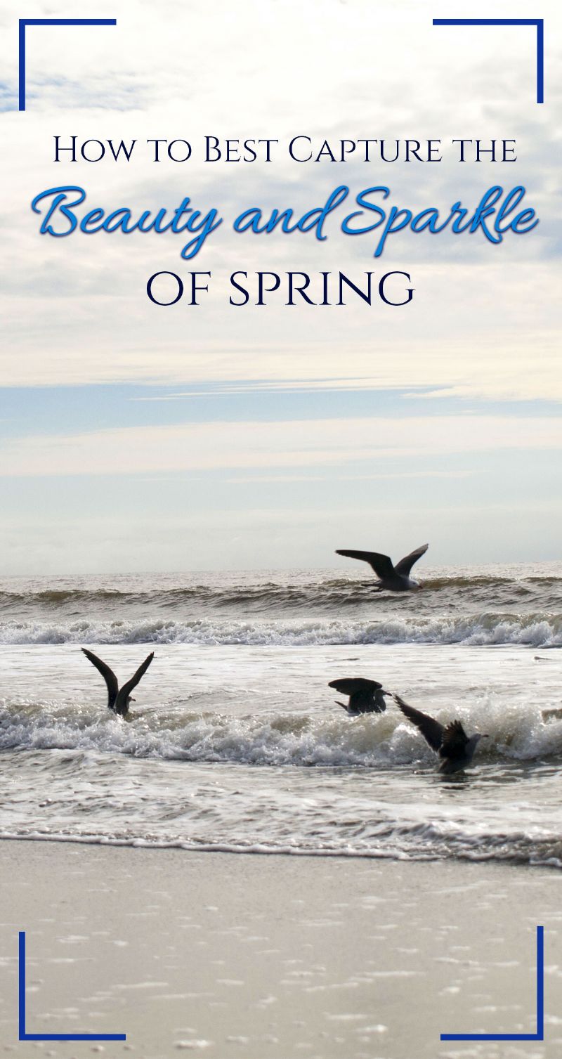 How to Best Capture the Beauty and Sparkle of Spring